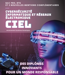 Bac Pro MNTE Bac Pro SN option RISC